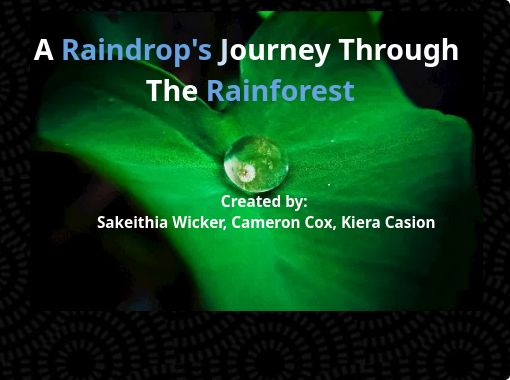 "A Raindrop's Journey Through The Rainforest" - Free stories online ...