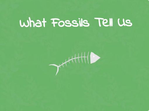 "What Fossils Tell Us" - Free stories online. Create books for kids ...