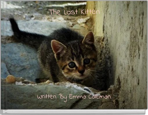 "The Lost Kitten" - Free stories online. Create books for kids ...