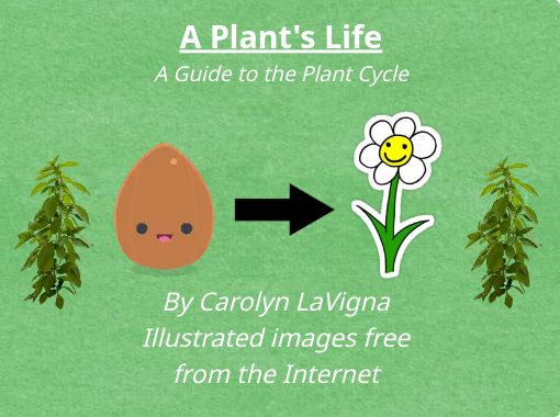 "A Plant's Life A Guide to the Plant Cycle" - Free stories online ...