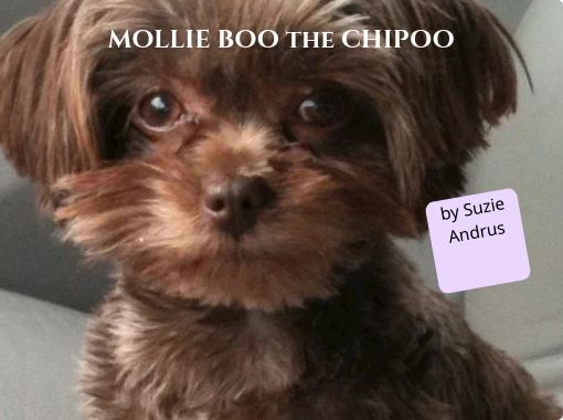 "MOLLIE BOO the CHIPOO" - Read stories online. Create books for kids ...