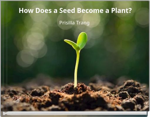 "How Does a Seed Become a Plant?" - Free stories online. Create books ...