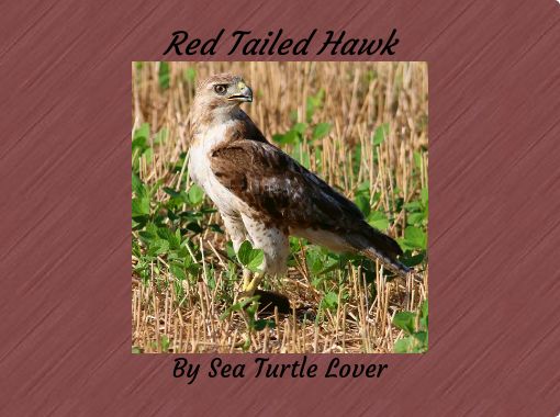 "Red Tailed Hawk" - Free stories online. Create books for kids ...