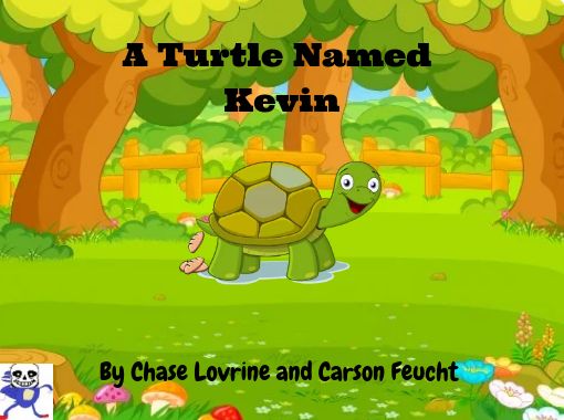 "A Turtle Named Kevin" - Free stories online. Create books for kids ...