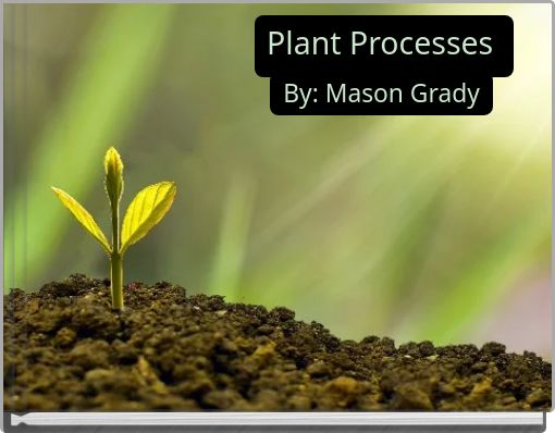 "Plant Processes" - Free stories online. Create books for kids ...