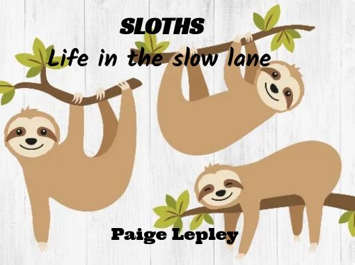 "SLOTHS Life in the slow lane" - Free stories online. Create books for ...
