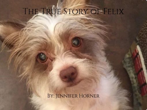 "The True Story of Felix" - Free stories online. Create books for kids ...