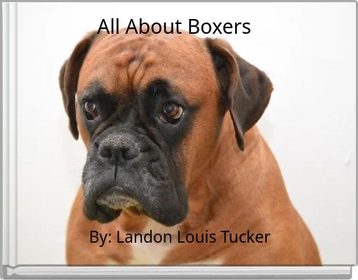 "All About Boxers" - Free stories online. Create books for kids ...