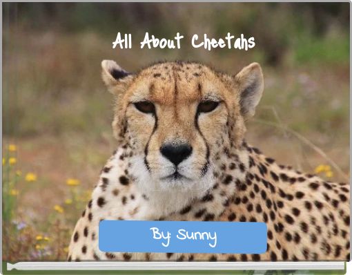 "All About Cheetahs" - Free stories online. Create books for kids ...