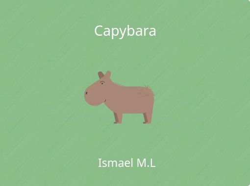 "Capybara" - Free stories online. Create books for kids | StoryJumper