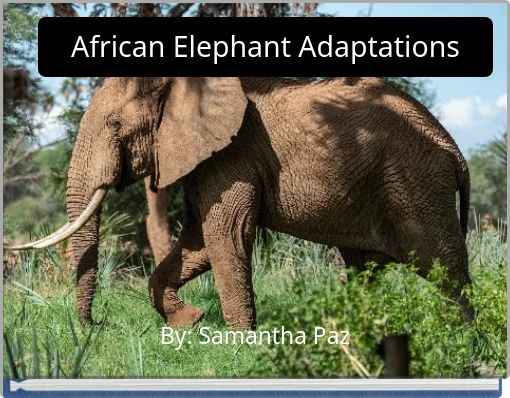 "African Elephant Adaptations" - Free stories online. Create books for ...