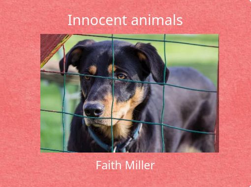 "Innocent animals" - Free stories online. Create books for kids ...