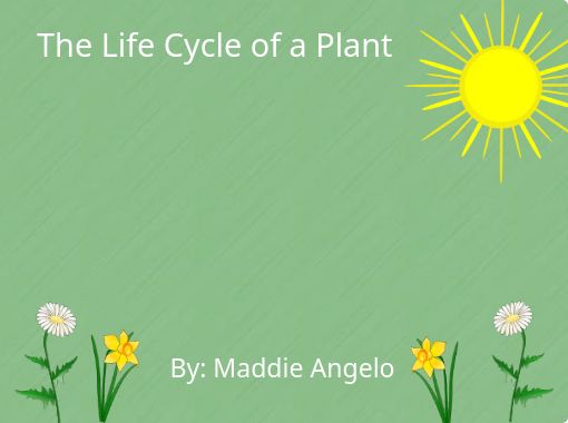 "The Life Cycle of a Plant" - Free stories online. Create books for ...