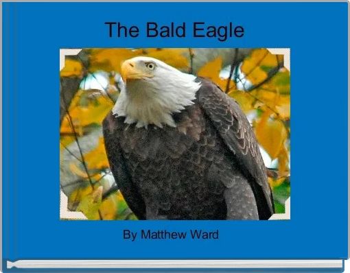 "The Bald Eagle" - Free stories online. Create books for kids | StoryJumper
