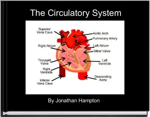 "The Circulatory System" - Free stories online. Create books for kids ...