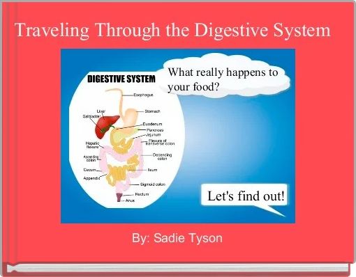 "Traveling Through the Digestive System" - Free stories online. Create ...