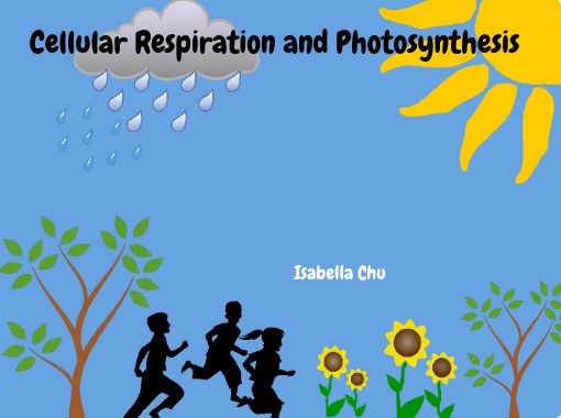 "Cellular Respiration and Photosynthesis" - Free stories online. Create ...