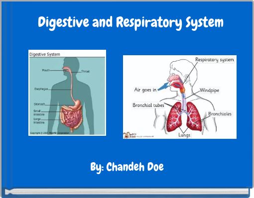 "Digestive and Respiratory System" - Free Books & Children's Stories ...