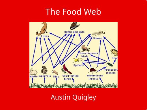 "The Food Web" - Free stories online. Create books for kids | StoryJumper