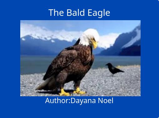 "The Bald Eagle" - Free stories online. Create books for kids | StoryJumper