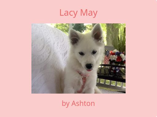 "Lacy May" - Free stories online. Create books for kids | StoryJumper
