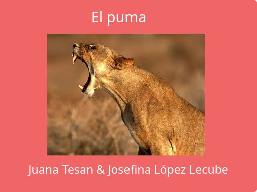 "El puma" - Free stories online. Create books for kids | StoryJumper