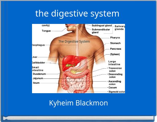 "the digestive system" - Free stories online. Create books for kids ...