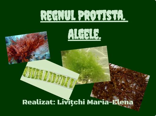 "Regnul Protista. Algele." - Free stories online. Create books for kids ...