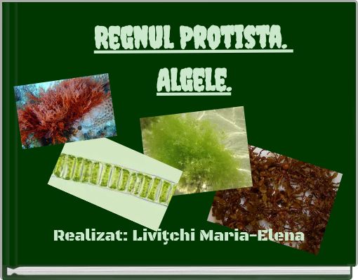 "Proiect de grup:,,Sarbatori in familie"" - Free stories online. Create ...