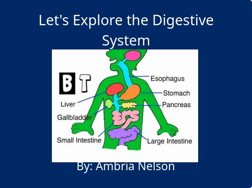 "Let's Explore the Digestive System" - Free stories online. Create ...