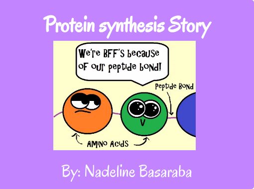Protein Synthesis Cartoon