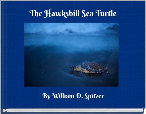 "The Hawksbill Sea Turtle" - Free stories online. Create books for kids ...