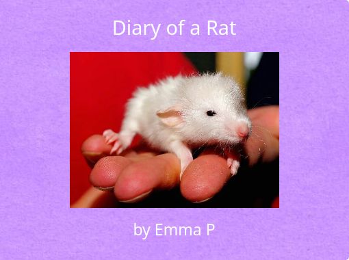 "Diary of a Rat" - Free stories online. Create books for kids | StoryJumper