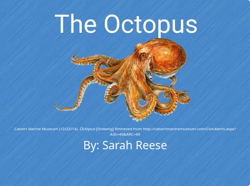"The Octopus" - Free stories online. Create books for kids | StoryJumper
