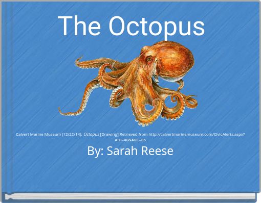 "The Octopus" - Free stories online. Create books for kids | StoryJumper
