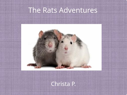 "The Rats Adventures" - Free stories online. Create books for kids ...