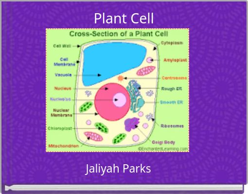 "Plant Cell" - Free stories online. Create books for kids | StoryJumper