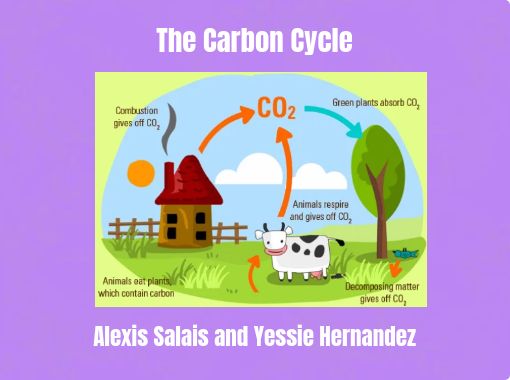 "The Carbon Cycle" - Free stories online. Create books for kids ...