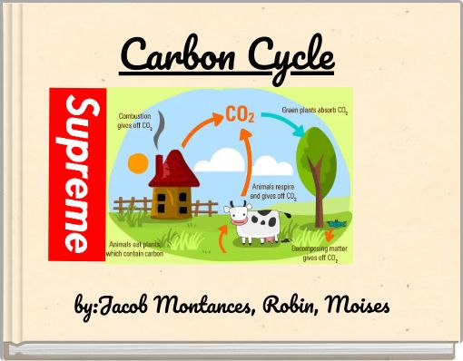 "Carbon Cycle" - Free stories online. Create books for kids | StoryJumper