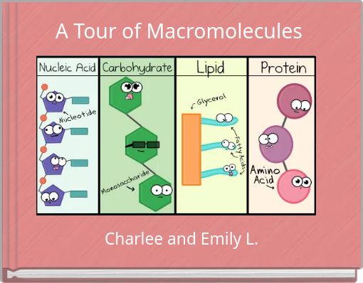 "A Tour of Macromolecules" - Free stories online. Create books for kids ...