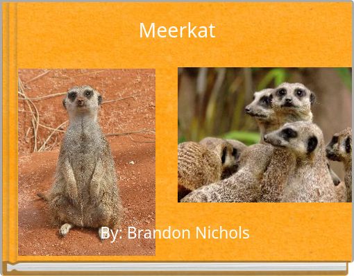 "Meerkat" - Free stories online. Create books for kids | StoryJumper