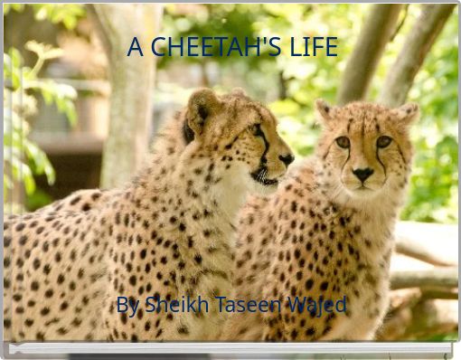 "A CHEETAH'S LIFE" - Free stories online. Create books for kids ...