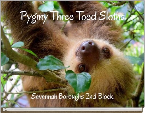 "Pygmy Three Toed Sloths" - Free stories online. Create books for kids ...
