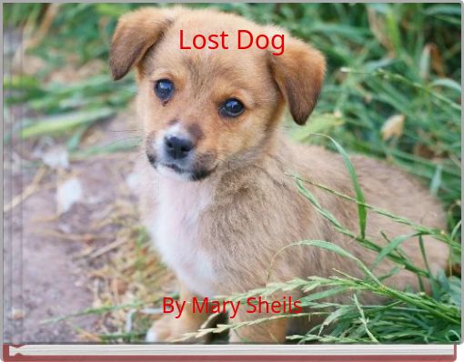 "Lost Dog" - Free stories online. Create books for kids | StoryJumper