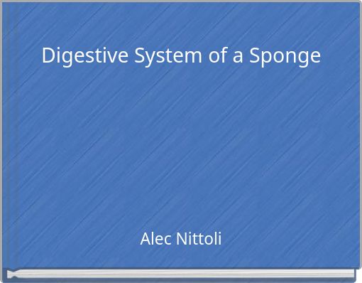 "Digestive System of a Sponge" - Free stories online. Create books for ...