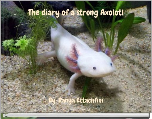 "The diary of a strong Axolotl" - Free stories online. Create books for ...