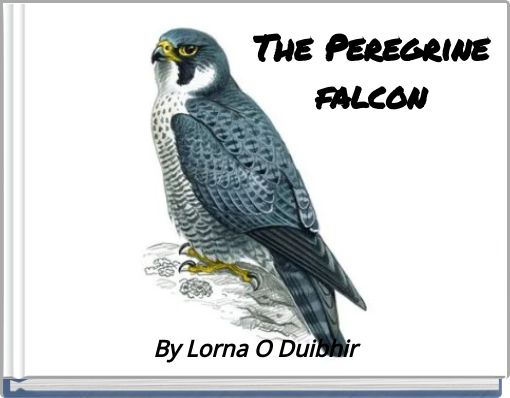 "The Peregrine falcon" - Free stories online. Create books for kids ...