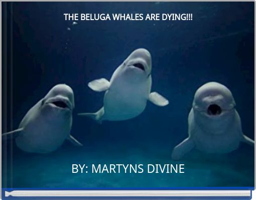 "THE BELUGA WHALES ARE DYING!!!" - Free stories online. Create books ...