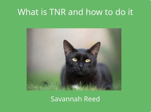 "What is TNR and how to do it" - Free stories online. Create books for ...