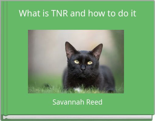 "What is TNR and how to do it" - Free stories online. Create books for ...